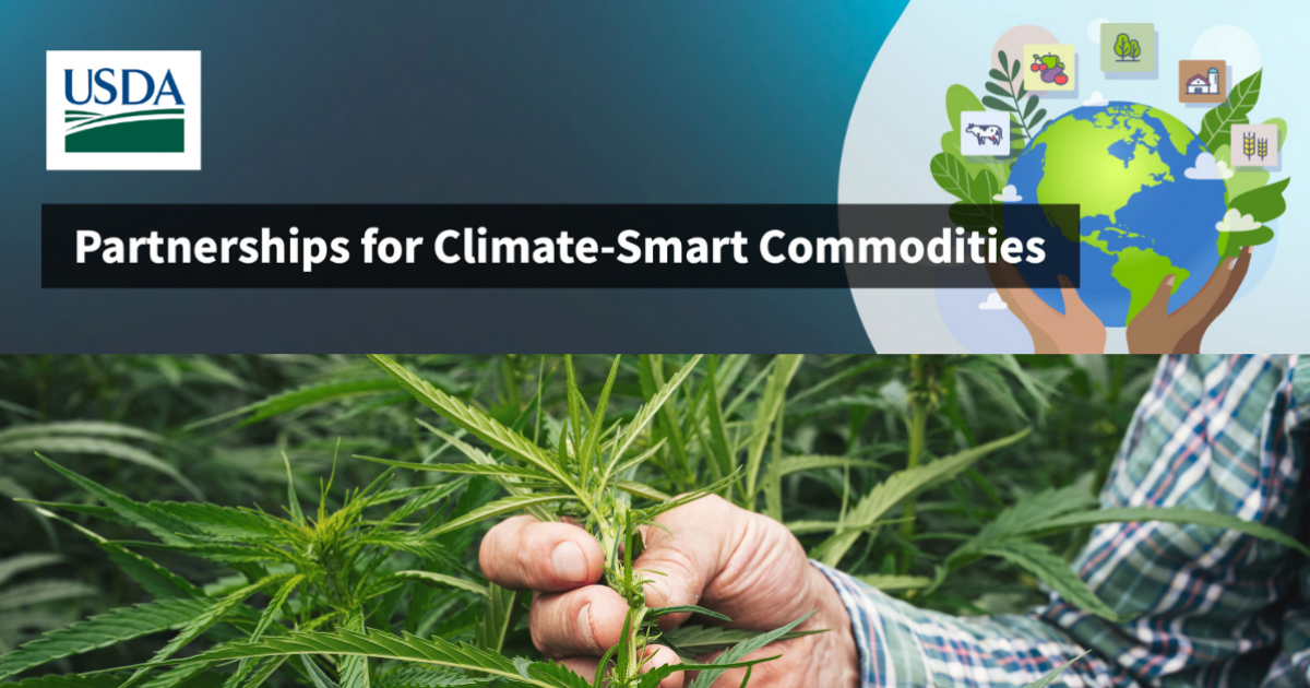 USDA Grants $21 Million For Hemp As A Climate-Smart Commodity!